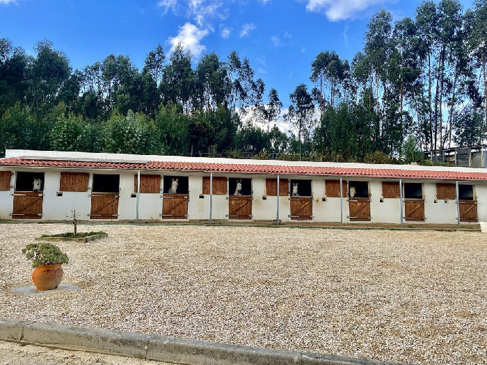 Stables :: Lusitanos Riding Centre